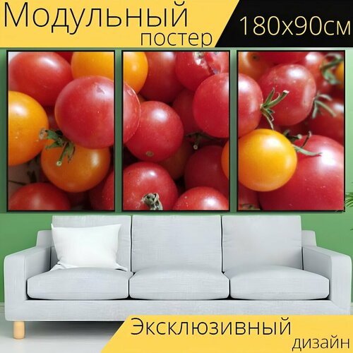 Модульный постер "Томаты черри, помидоры, уборка урожая" 180 x 90 см. для интерьера
