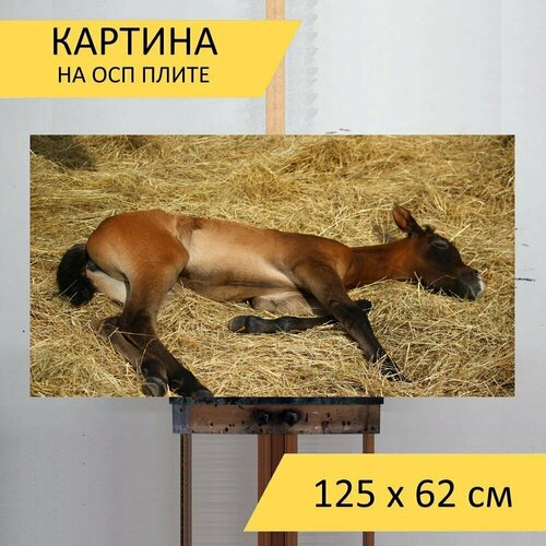 Картина на ОСП 125х62 см. "Лошадь, жеребенок, коричневая плесень" горизонтальная, для интерьера, с креплениями