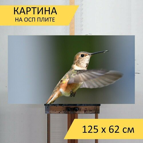Картина на ОСП 125х62 см. "Самка рыжего колибри, полет, колибри" горизонтальная, для интерьера, с креплениями