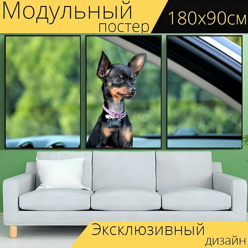 Модульный постер "Собака, талисман, животное" 180 x 90 см. для интерьера