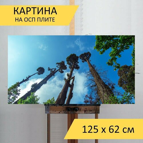 Картина на ОСП 125х62 см. "Небо, деревья, природа" горизонтальная, для интерьера, с креплениями