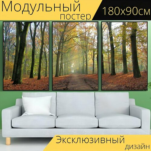 Модульный постер "Лес, лесная тропа, путь" 180 x 90 см. для интерьера