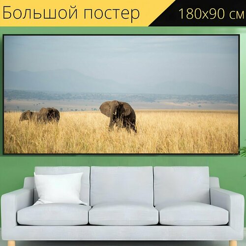 Большой постер "Слоны, животные, сафари" 180 x 90 см. для интерьера