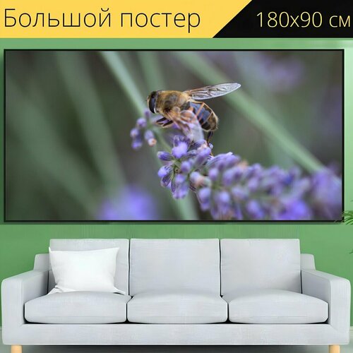 Большой постер "Пчела, насекомое, лаванда" 180 x 90 см. для интерьера