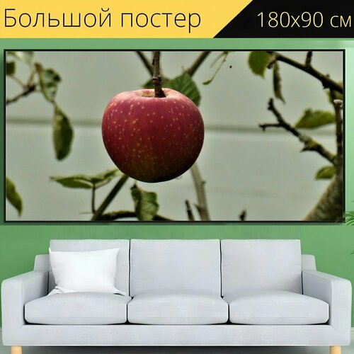 Большой постер "Яблоко, красное яблоко, осень" 180 x 90 см. для интерьера