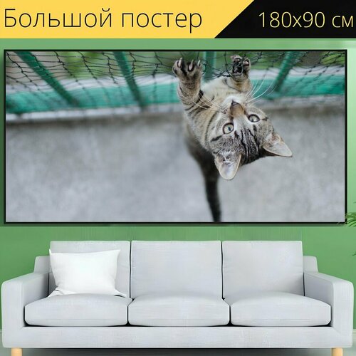 Большой постер "Кошка, полосатый кот, тигровый" 180 x 90 см. для интерьера