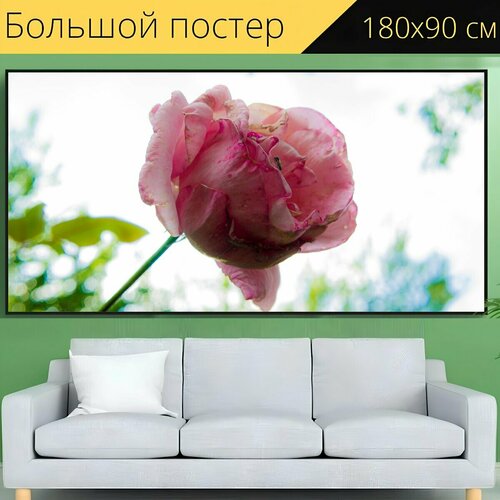 Большой постер "Розовый, розы, сад" 180 x 90 см. для интерьера