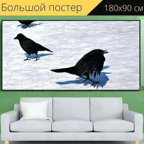 Большой постер "Обыкновенный ворон, ворона, снег" 180 x 90 см. для интерьера