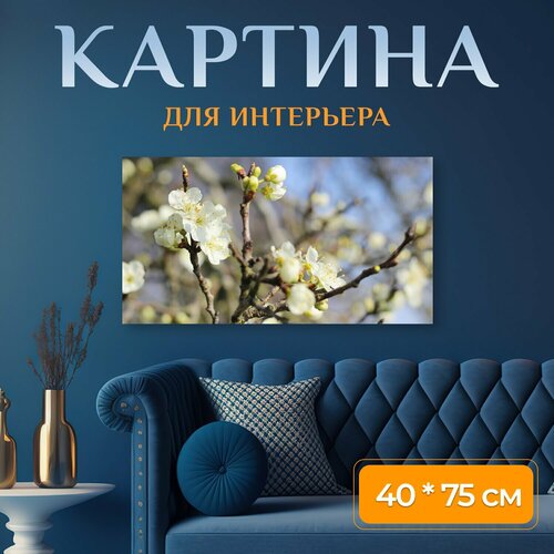 Картина на холсте "Тернослива, сливовое блоссом, весна" на подрамнике 75х40 см. для интерьера