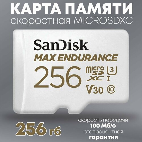 Карта памяти SanDisk Max Endurance V30 microSDXC 256GB