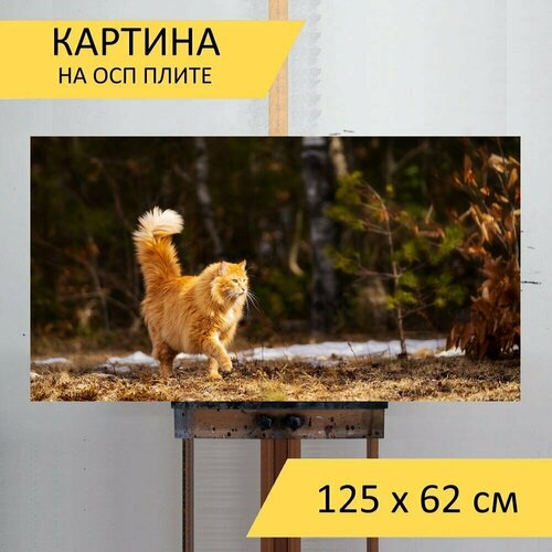 Картина на ОСП 125х62 см. "Кошка, кошачий, домашний питомец" горизонтальная, для интерьера, с креплениями