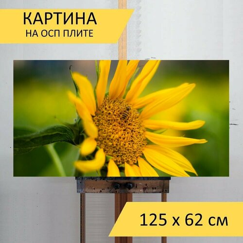 Картина на ОСП 125х62 см. "Подсолнечник, цветок, летом" горизонтальная, для интерьера, с креплениями