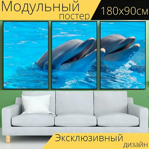 Модульный постер "Дельфины, млекопитающие, животные" 180 x 90 см. для интерьера