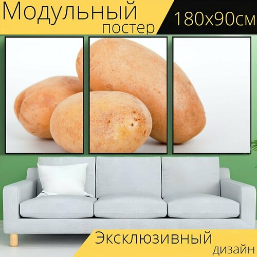 Модульный постер "Картошка, корень, овощи" 180 x 90 см. для интерьера