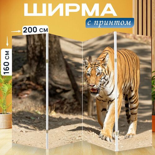 Ширма перегородка с принтом "Тигр, животное, лес" на холсте - 200x160 см. для зонирования, раскладная