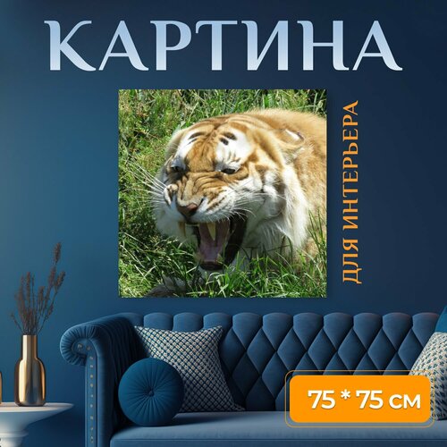 Картина на холсте "Тигр, животное, дикая природа" на подрамнике 75х75 см. для интерьера