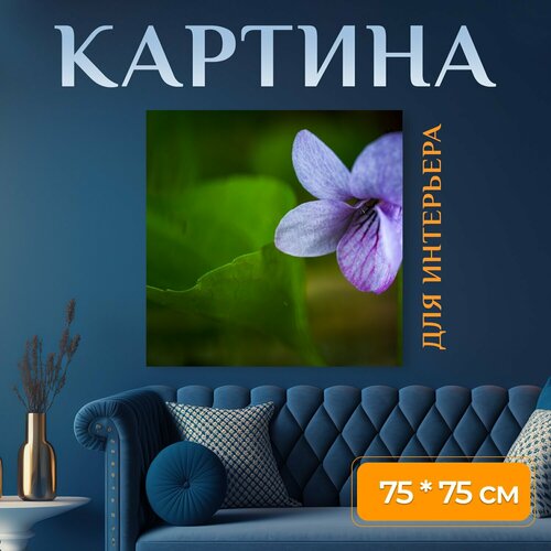 Картина на холсте "Природа, цветок, растение" на подрамнике 75х75 см. для интерьера