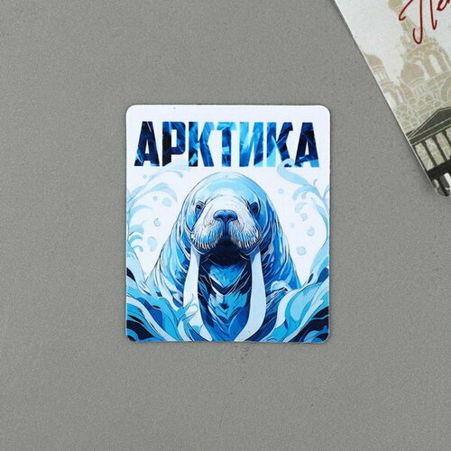 Магнит виниловый "Арктика" 6 x 7 см, 10 шт.