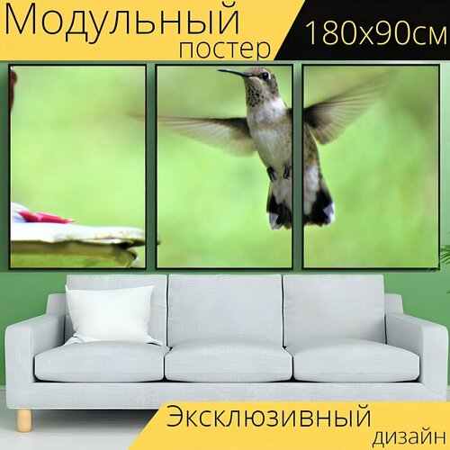 Модульный постер "Птица, в полете, закрыть" 180 x 90 см. для интерьера