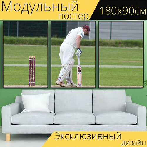Модульный постер "Крикет, спорт, бэтсмен" 180 x 90 см. для интерьера