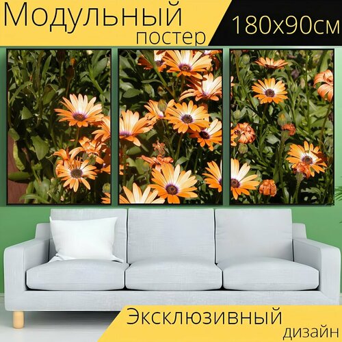 Модульный постер "Цветок, летом, сад" 180 x 90 см. для интерьера