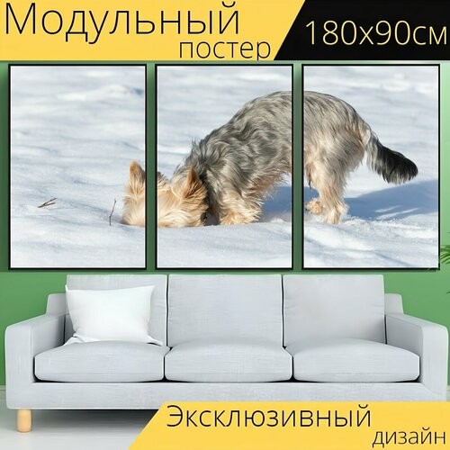 Модульный постер "Собака, зима, снег" 180 x 90 см. для интерьера