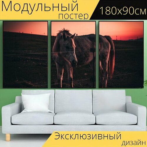 Модульный постер "Лошадь, животное, природа" 180 x 90 см. для интерьера