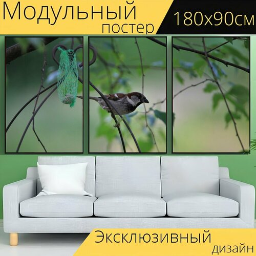 Модульный постер "Воробей, птица, певчая птица" 180 x 90 см. для интерьера