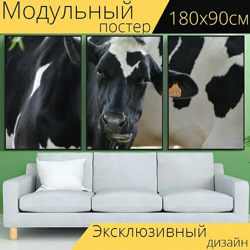 Модульный постер "Животное, млекопитающее, корова" 180 x 90 см. для интерьера