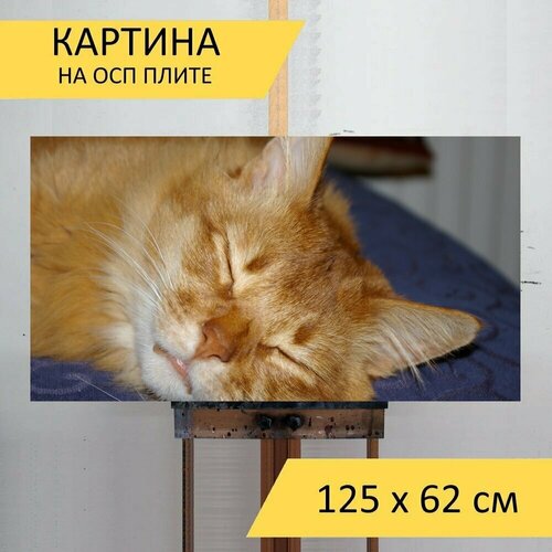 Картина на ОСП 125х62 см. "Спящая кошка, сомали, рыжий кот" горизонтальная, для интерьера, с креплениями