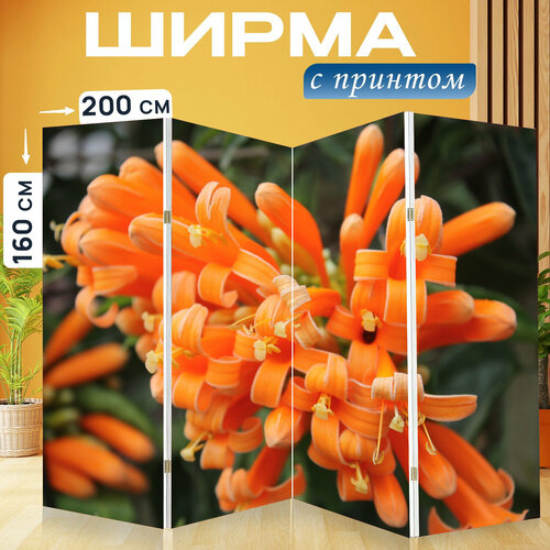 Ширма перегородка с принтом "Цветы, апельсин, завод" на холсте - 200x160 см. для зонирования, раскладная