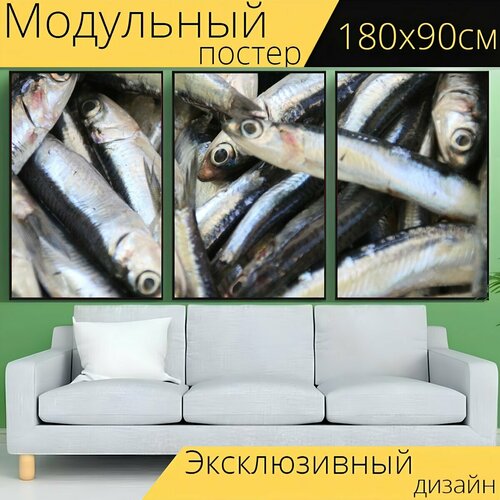 Модульный постер "Рыбы, сардина, морепродукты" 180 x 90 см. для интерьера