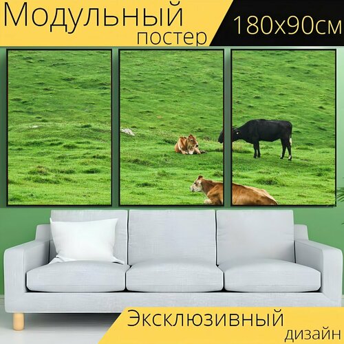 Модульный постер "Ганвон до, корова, корея" 180 x 90 см. для интерьера