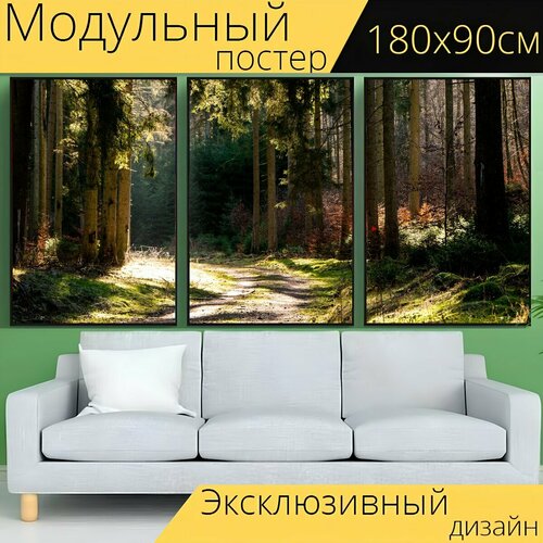 Модульный постер "Лес, деревья, дорожка" 180 x 90 см. для интерьера