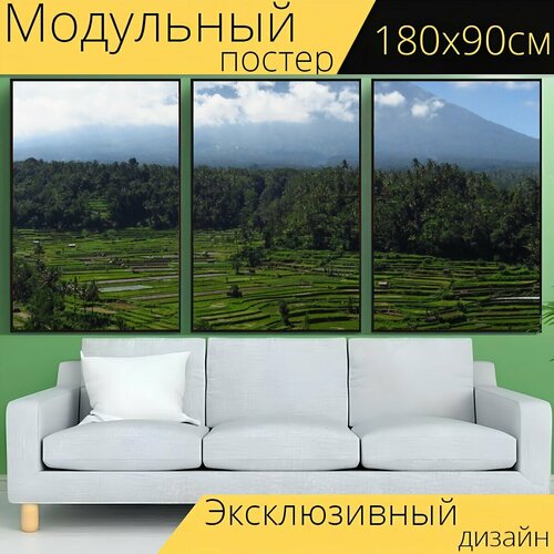 Модульный постер "Бали, вулкан, рисовые поля" 180 x 90 см. для интерьера