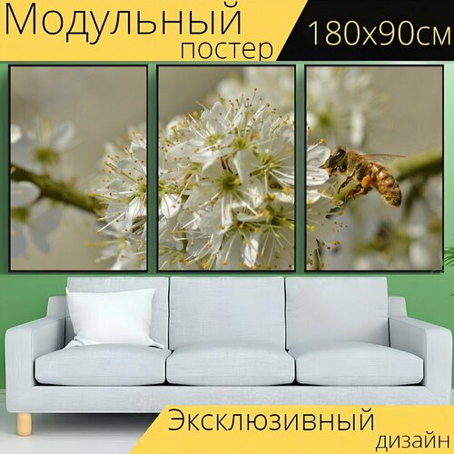 Модульный постер "Цветы, пчела, цветочная пыльца" 180 x 90 см. для интерьера