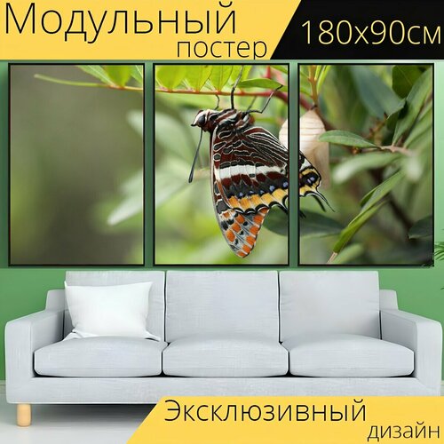 Модульный постер "Природа, насекомое, крыло" 180 x 90 см. для интерьера