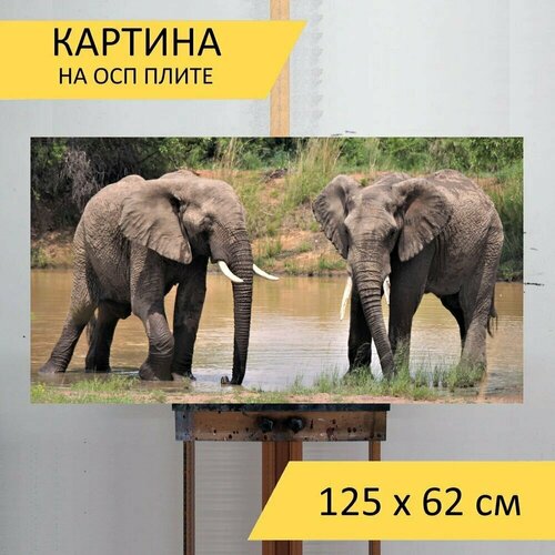 Картина на ОСП 125х62 см. "Африканские слоны, спаривания ритуал, сундуки" горизонтальная, для интерьера, с креплениями