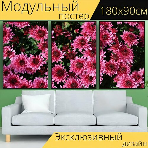 Модульный постер "Цветы, хризантема, цветы в горшках" 180 x 90 см. для интерьера