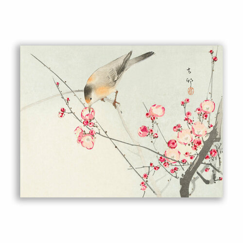 Картина на холсте, репродукция / Косон Охара - Songbird on blossom branch / Размер 60 x 80 см