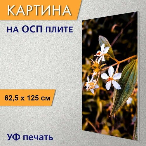 Вертикальная картина на ОСП "Цветок, цветы, цветочные" 62x125 см. для интерьериа