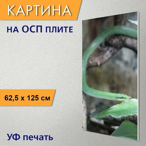 Вертикальная картина на ОСП "Змея, зеленый, пресмыкающееся" 62x125 см. для интерьериа