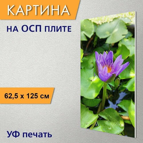 Вертикальная картина на ОСП "Водяная лилия, цветок, завод" 62x125 см. для интерьериа