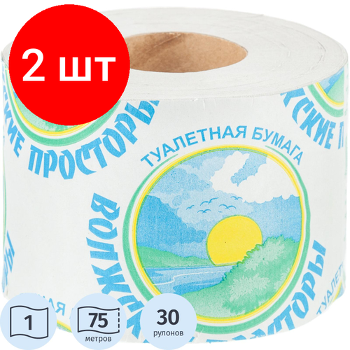 Комплект 2 упаковок, Бумага туалетная 1сл серая втул 75м 30рул/уп