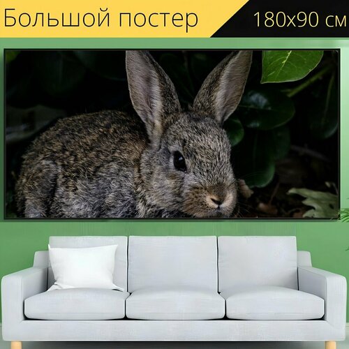 Большой постер "Кролик, заяц, природа" 180 x 90 см. для интерьера