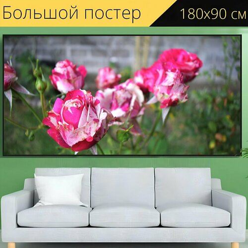 Большой постер "Цветок, флора, роза" 180 x 90 см. для интерьера
