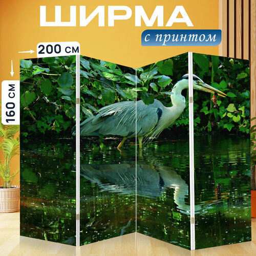 Ширма перегородка с принтом "Цапля, болотная птица, животное" на холсте - 200x160 см. для зонирования, раскладная