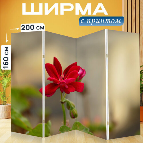 Ширма перегородка с принтом "Герань, цветок, красный" на холсте - 200x160 см. для зонирования, раскладная