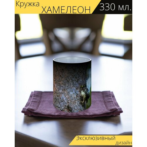 Кружка хамелеон с принтом "Евразийская карликовая сова, птица, дерево" 330 мл.