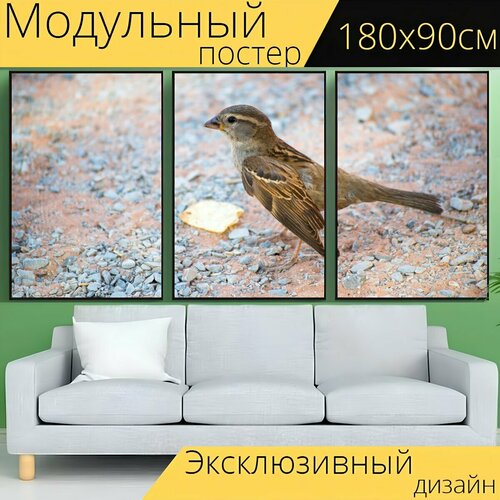 Модульный постер "Птица, пустыня, животное" 180 x 90 см. для интерьера